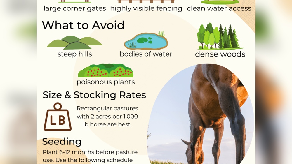 Best Management Practices for Horses - Vetcage.com