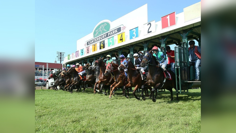 When Do Horses Start Racing: Key Ages & Expert Insights Revealed ...